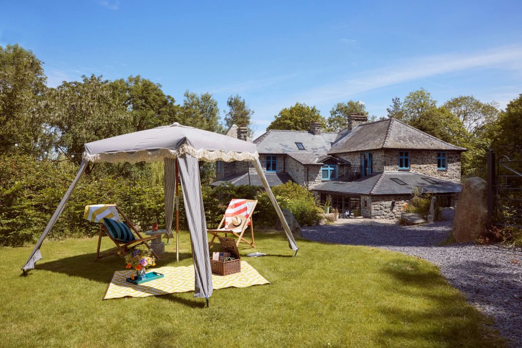 Ty Pandy | Rowe & Bear